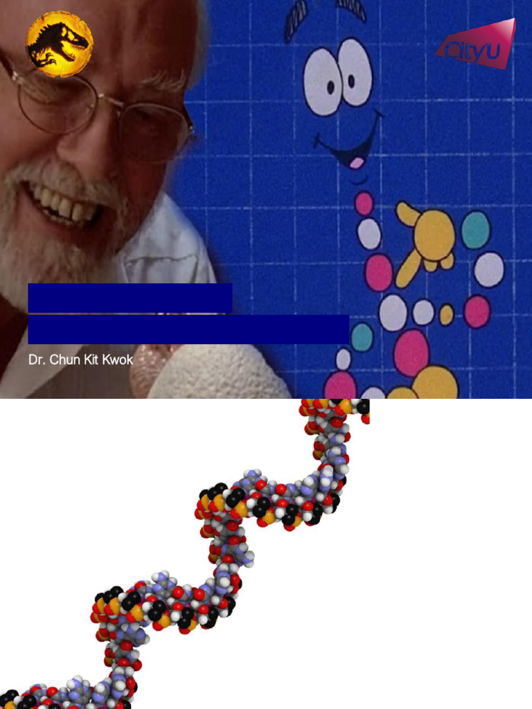 CHEM1200_RNA+World_2024 | PDF | Rna | Messenger Rna