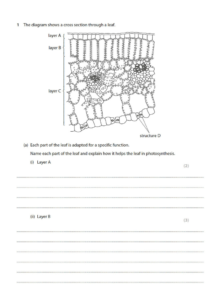 Nutrition 2 QP | PDF