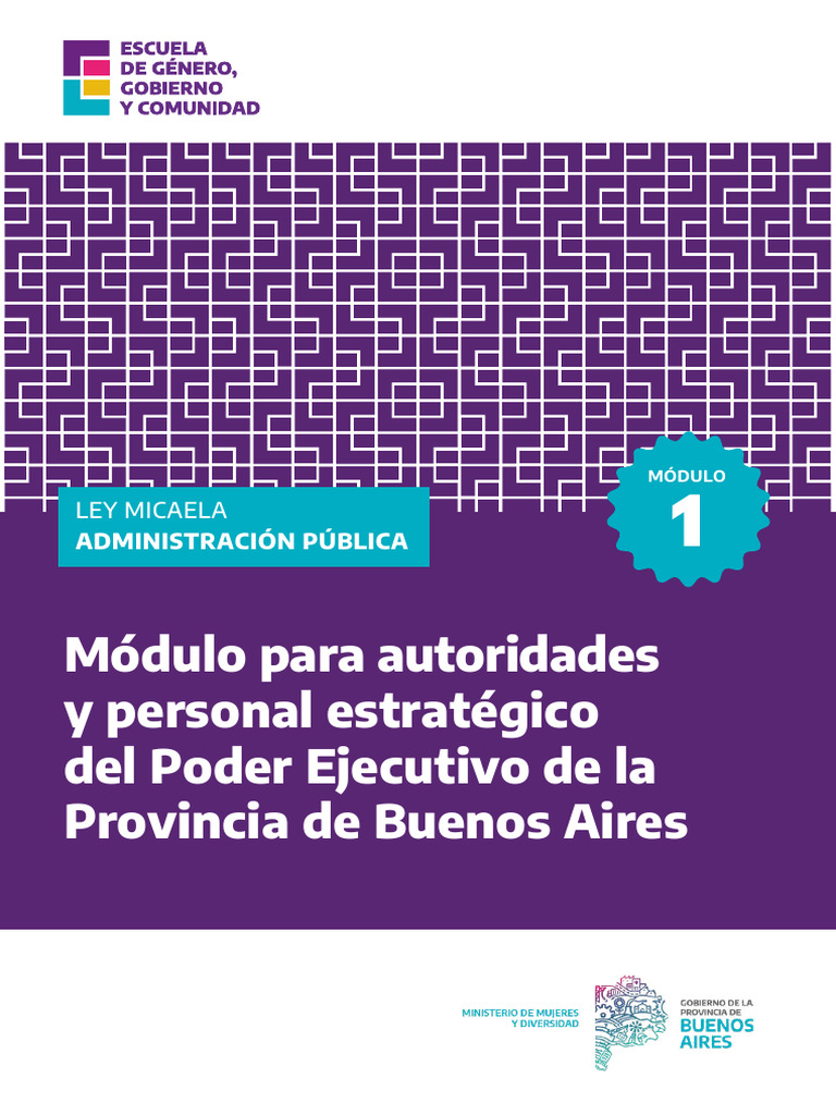 Micaela Adm - Pub. - M1 - Clase 1 | PDF | Identidad de género | Masculinidad