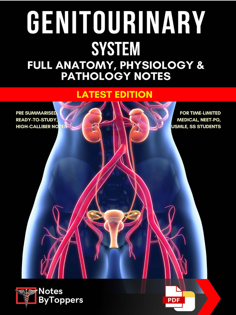 Genitourinary System Notes | PDF | Kidney | Urination