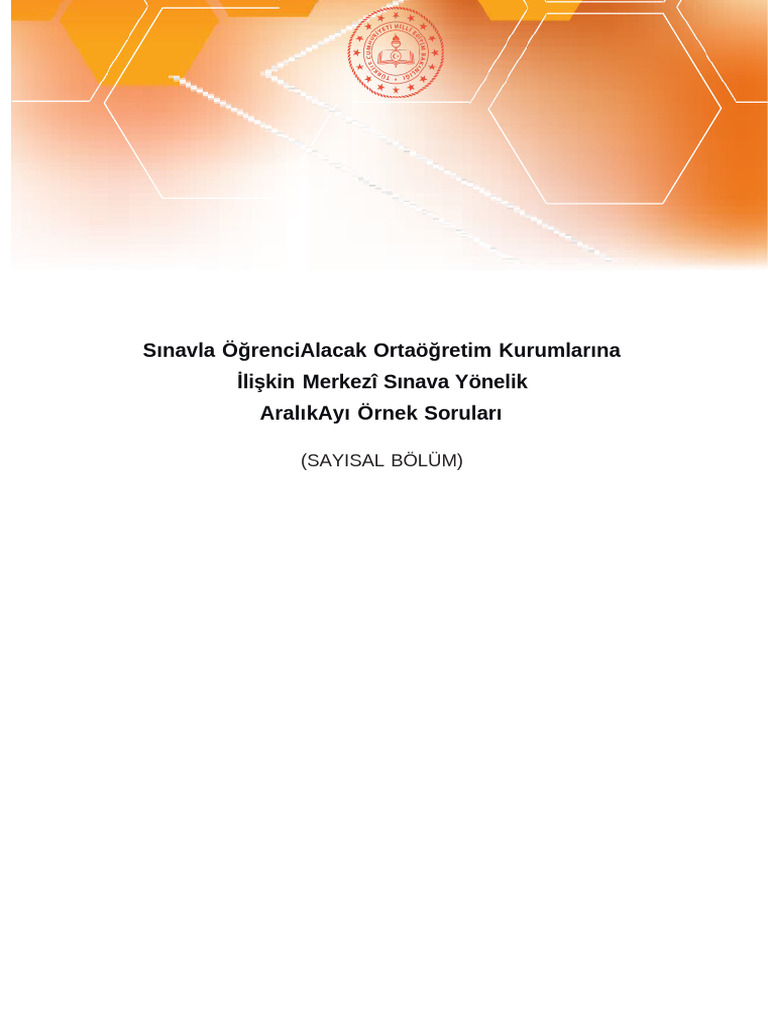 Sayisal Ornek 64841 | PDF
