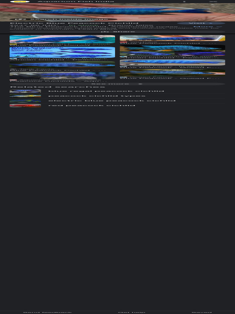 Blie Peacock - Chiclids Are Malawai - Google Search | PDF