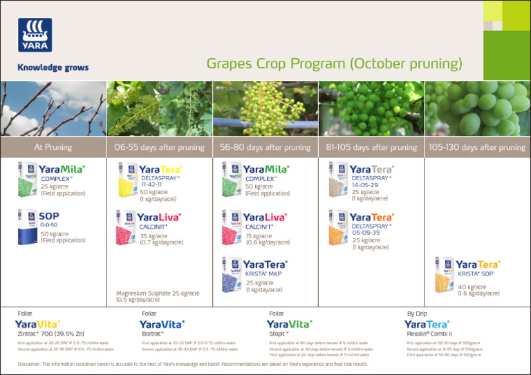Grape October Pruning Crop Program | PDF