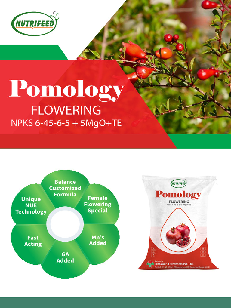 Pomology Leaflet | PDF