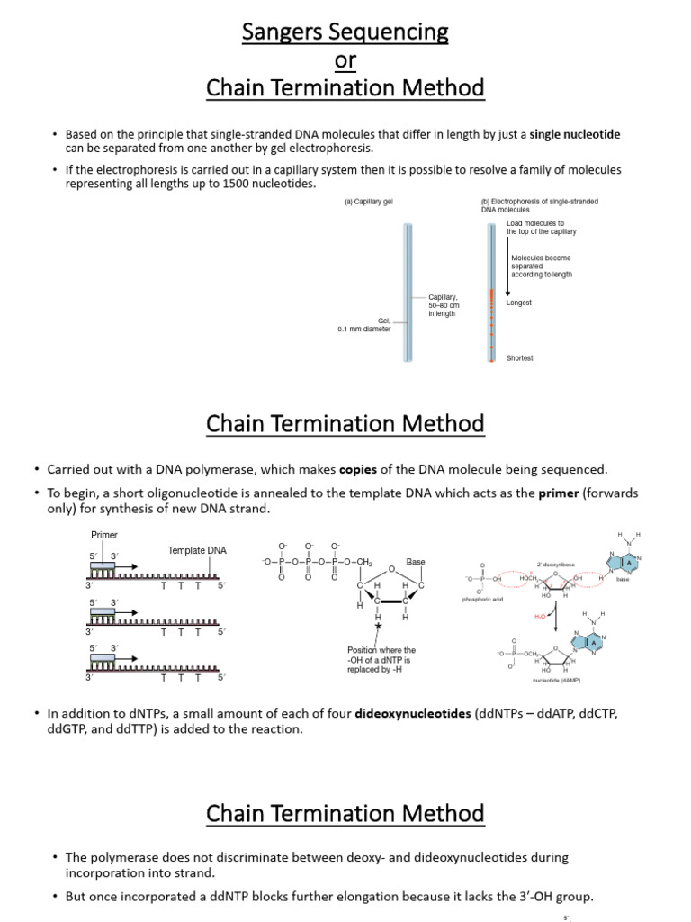 C-Sequencing | PDF | Sequencing | Dna Sequencing