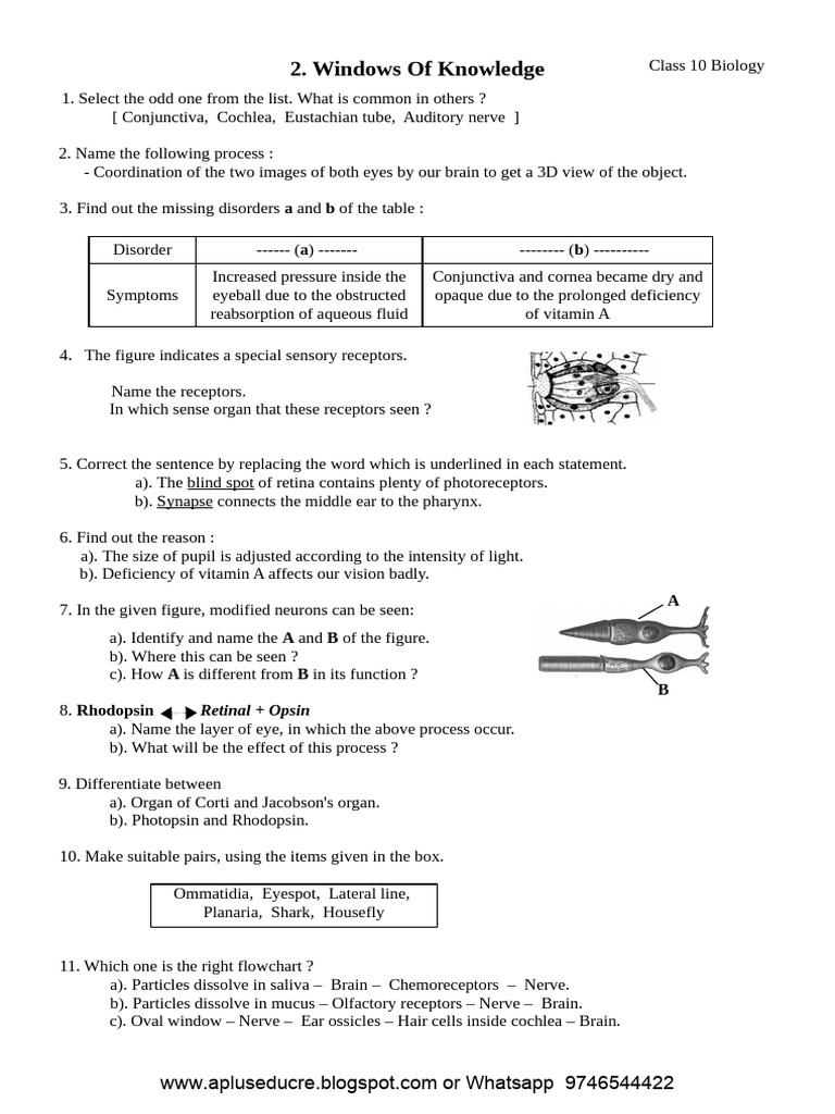 A - Blog - Sslc-Biology-Model Questions-Unit Exams-Chapter 02 em | PDF ...