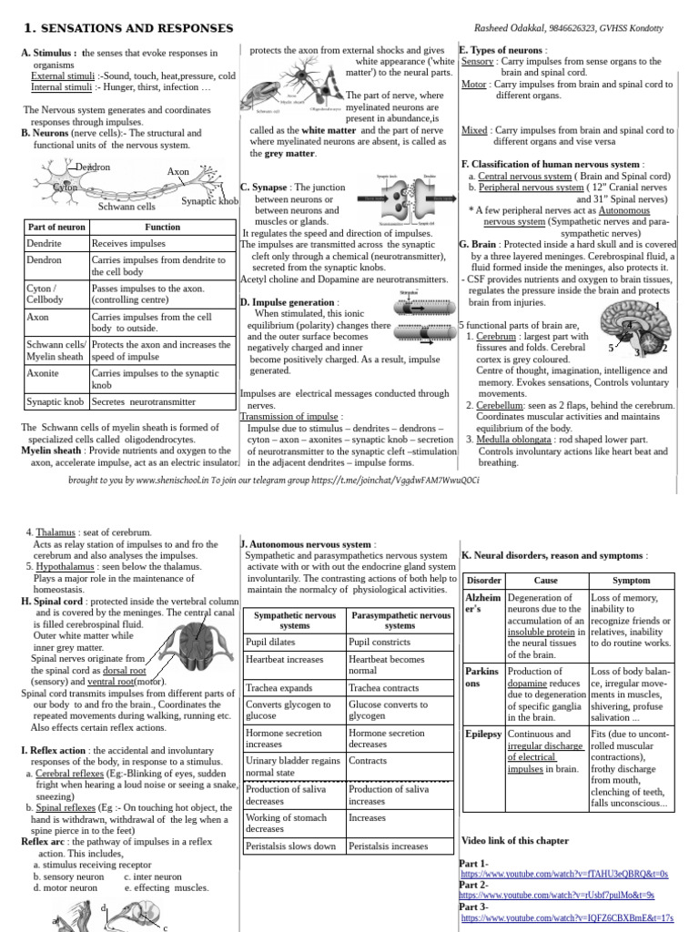 SHENIBLOG-X Biology Abstract Notes Unit 1 (Eng Med) | PDF | Nervous ...