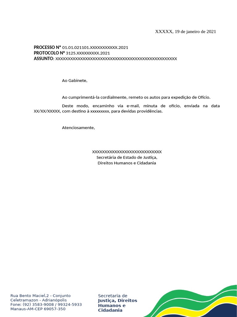 Modelo Despacho - Executivas | PDF