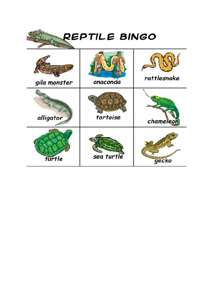 Bingo Reptile | PDF