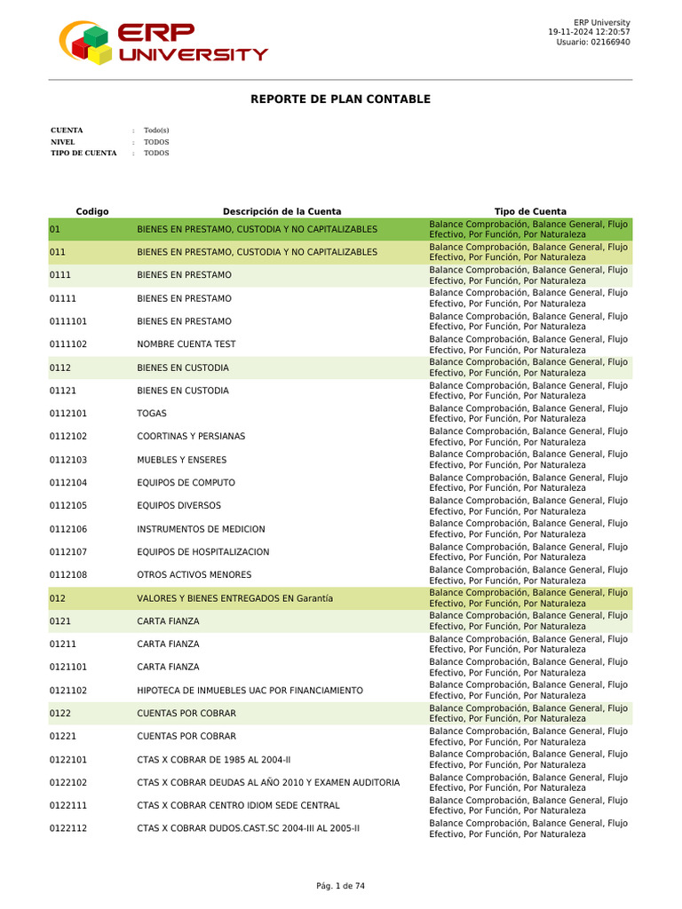 Reporte Plan Contable Erp19!11!24 | PDF | Hoja de balance | Swap (Finanzas)