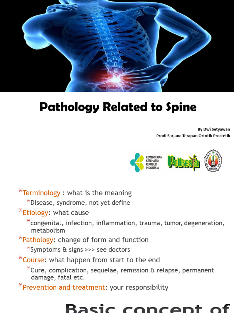 Spine Pathology for Medical Students | PDF | Vertebral Column | Scoliosis