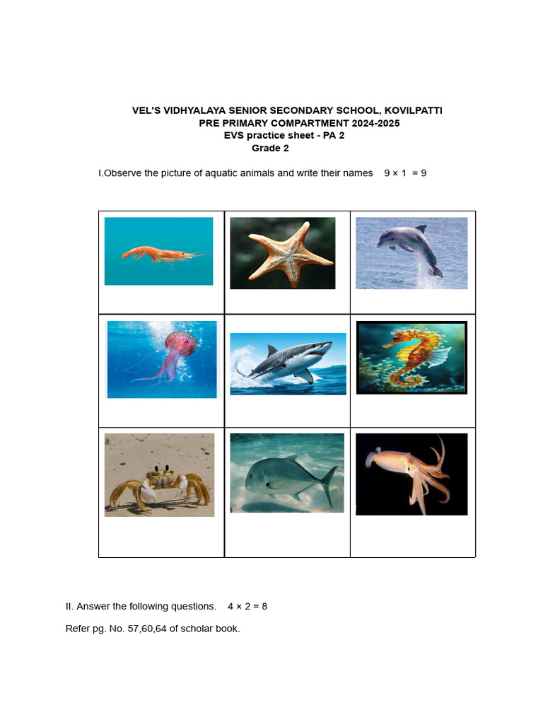 PA 2 EVS PRACTICE SHEET | PDF