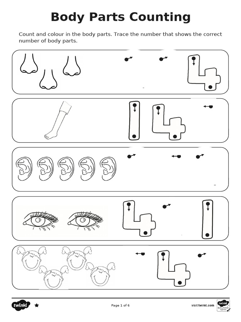 Body Parts Counting Worksheet | PDF