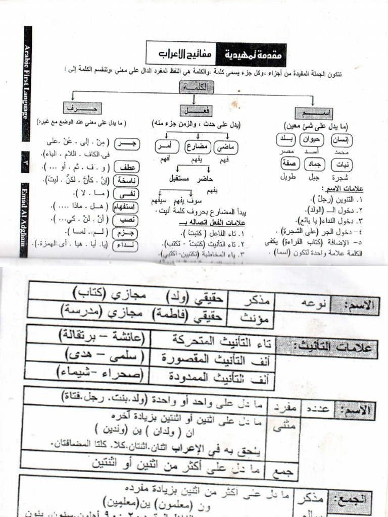 IGCSE Arabic 1st | PDF