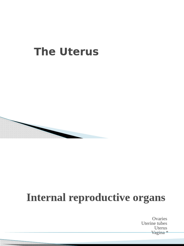 Uterus | PDF | Uterus | Vagina