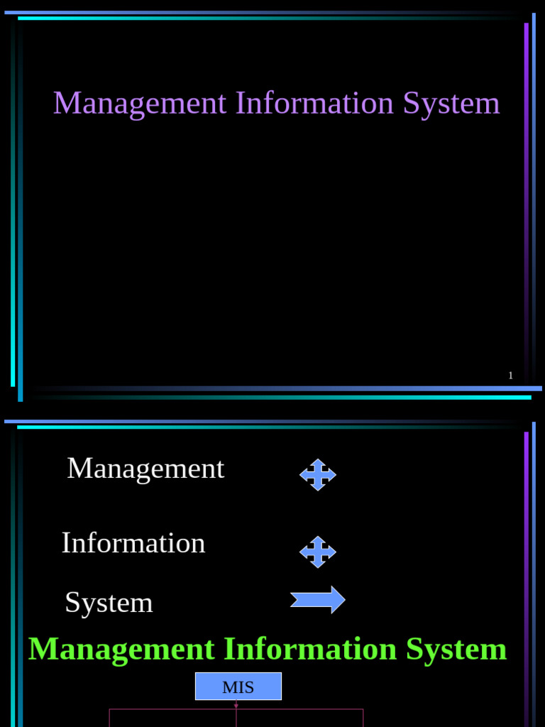Management Information System | PDF | System | Information