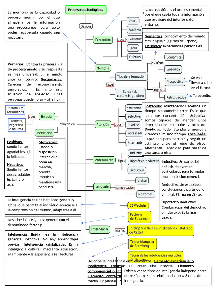 Resumen - Procesos Psicologicos - Basicos | PDF | Inteligencia | Percepción