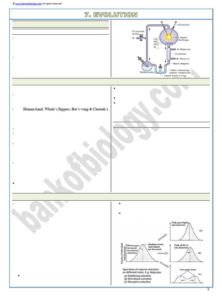 Kerala Plus Two Zoology Focus Area Notes - Evolution | PDF | Natural ...