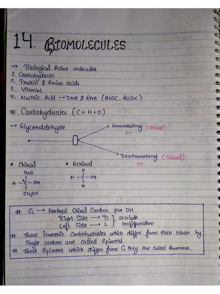 Biomolecule Cls 12 | PDF