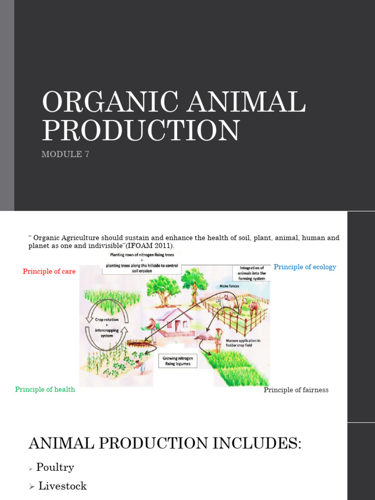 ORGANIC-ANIMAL-PRODUCTION | PDF | Organic Farming | Agriculture