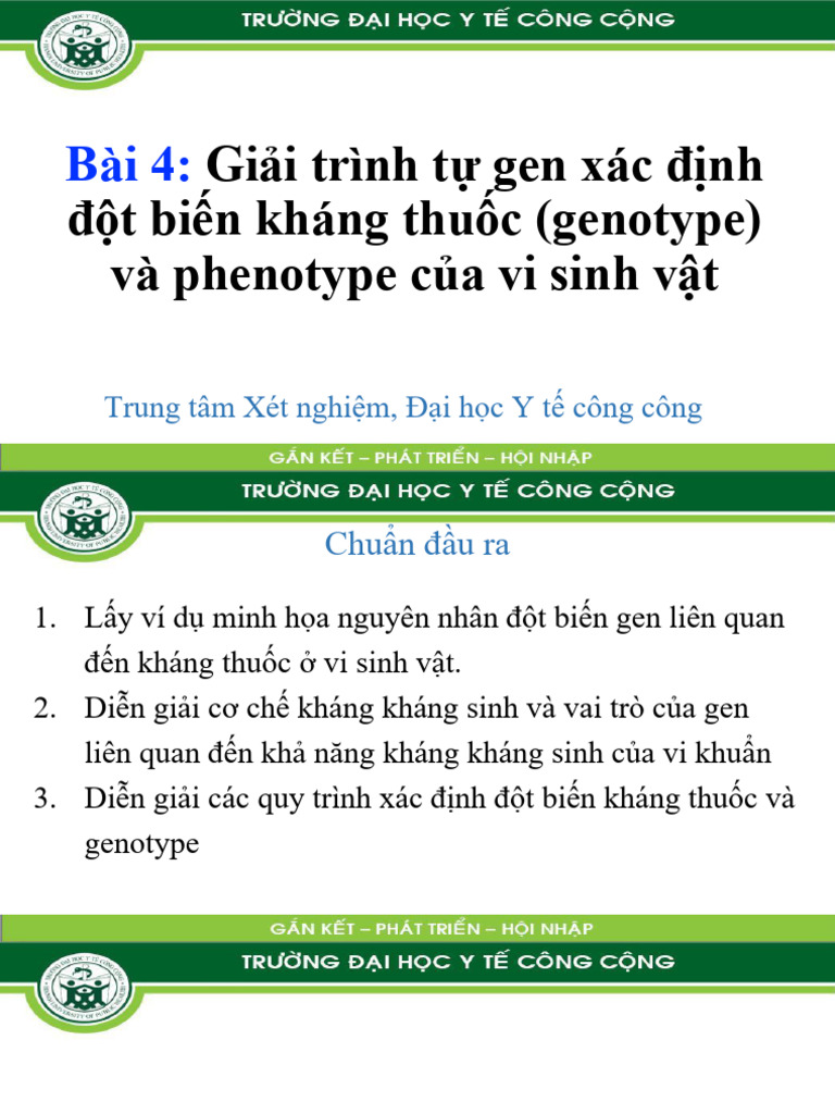 Bai 4. Giai Trinh Tu Gen Xac Dinh Dot Bien Khang Thuoc (Genotype) Va Phenotype Cua VI Sinh Vat | PDF