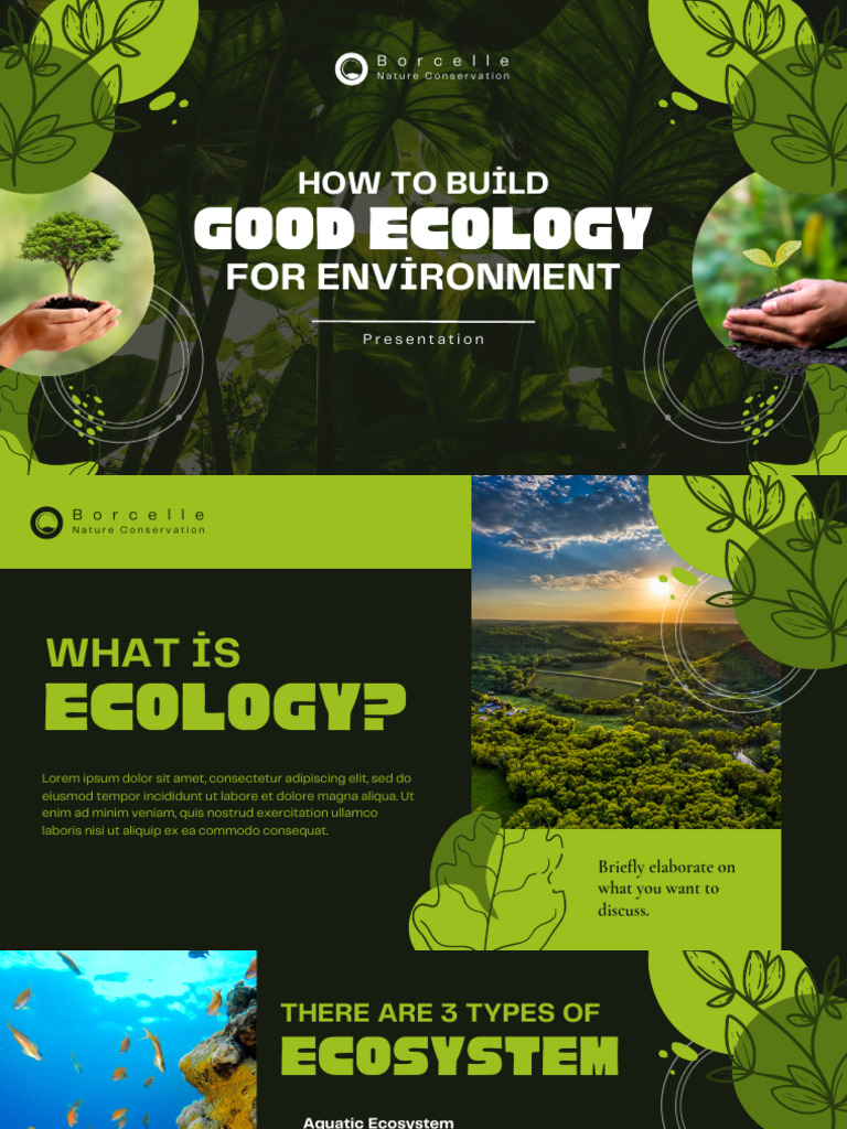 Understanding Ecology for Conservation | PDF | Earth Sciences | Ecoregions