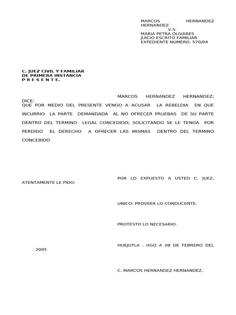 Acusación de Rebeldía en Juicio Familiar | PDF