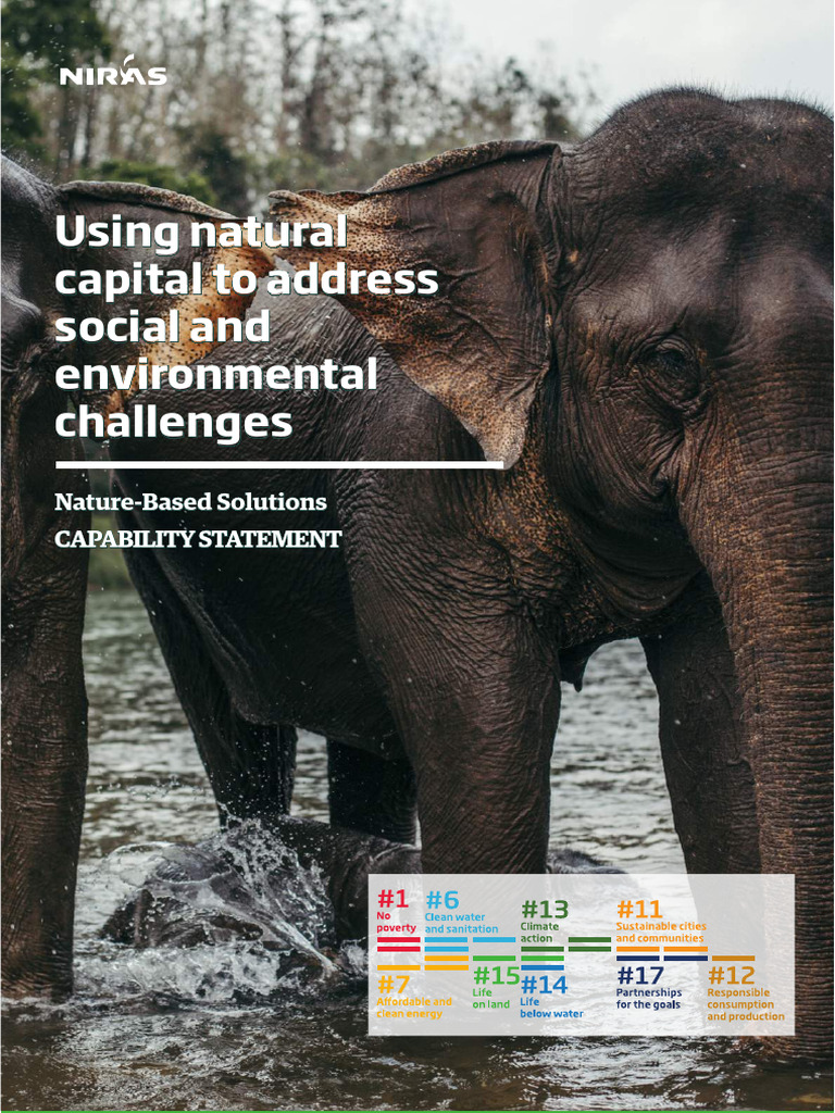 Niras Nbs Cap Stat Compressed | PDF | Sustainability | Climate Resilience