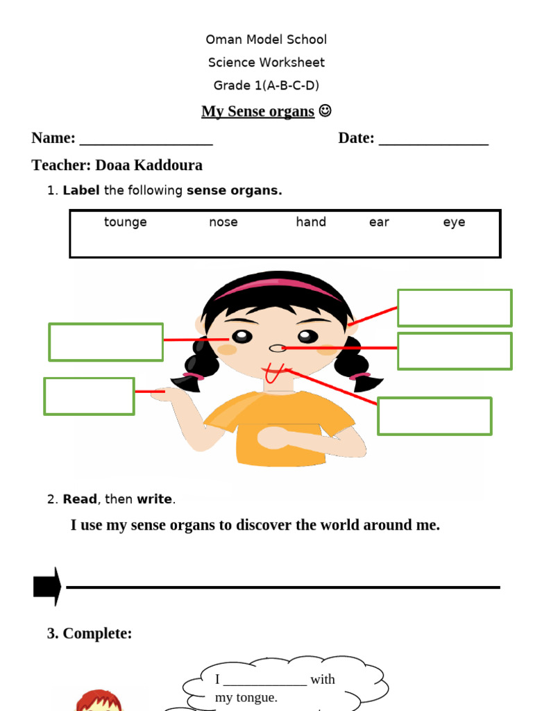 5 senses worksheet 5 (1) | PDF