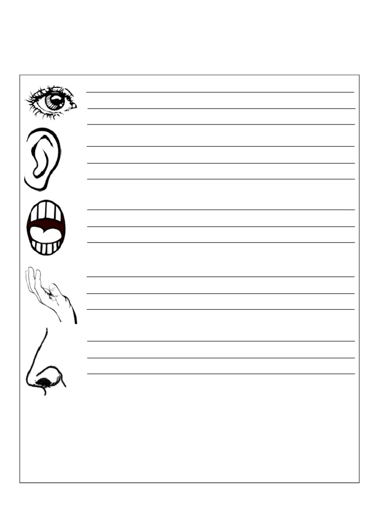 Using My Senses | PDF