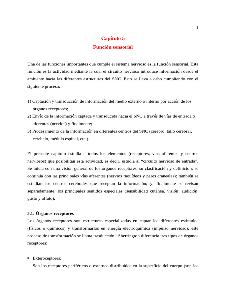 5. Funcion sensorial | PDF | Ojo humano | Percepción visual