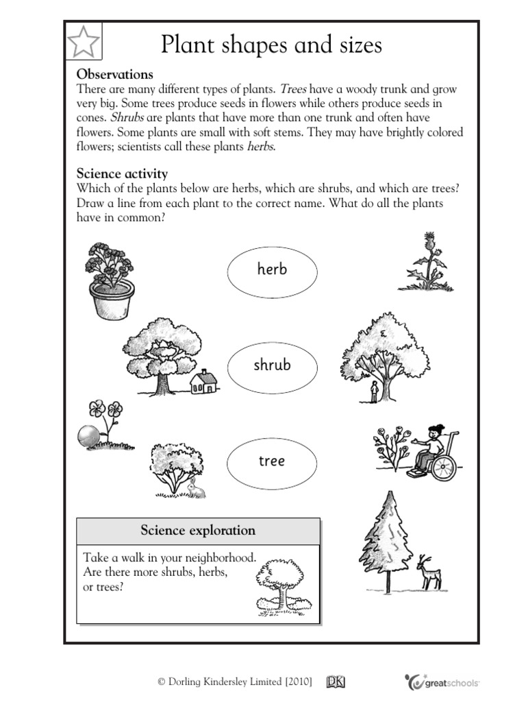 14026 | PDF | Shrub | Trees