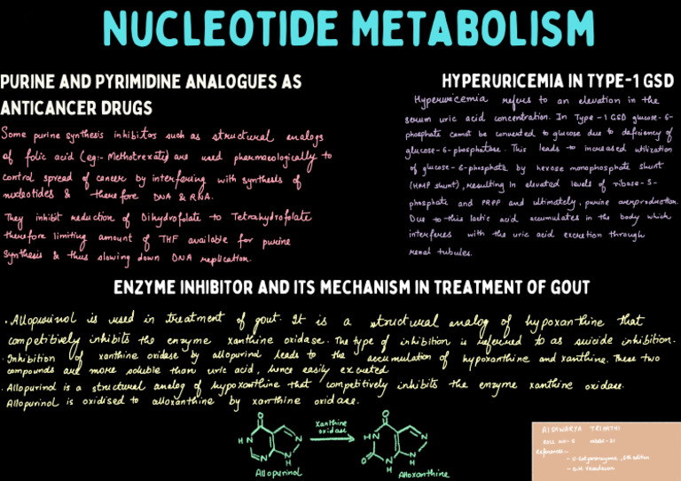 Biochemistry Notes | PDF