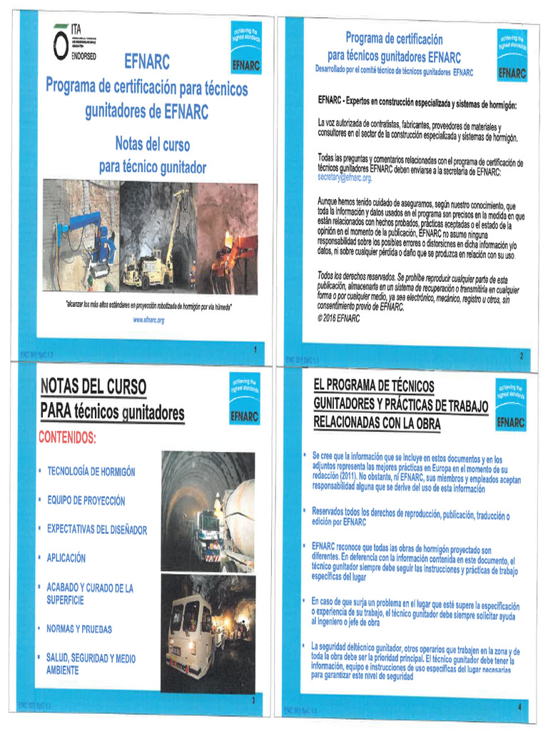 Programa Certificacion Efnarc | PDF