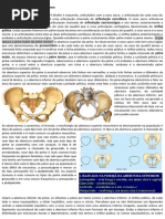Tipos de Pelve e Suas Características | PDF