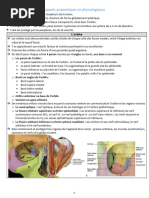 ANATOMIE DU TRACTUS OPTIQUE Zio | PDF | Thalamus | Système nerveux