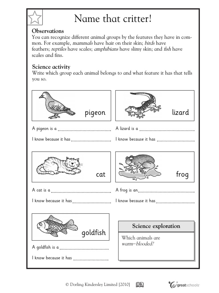 14107-pdf-skin-zoology