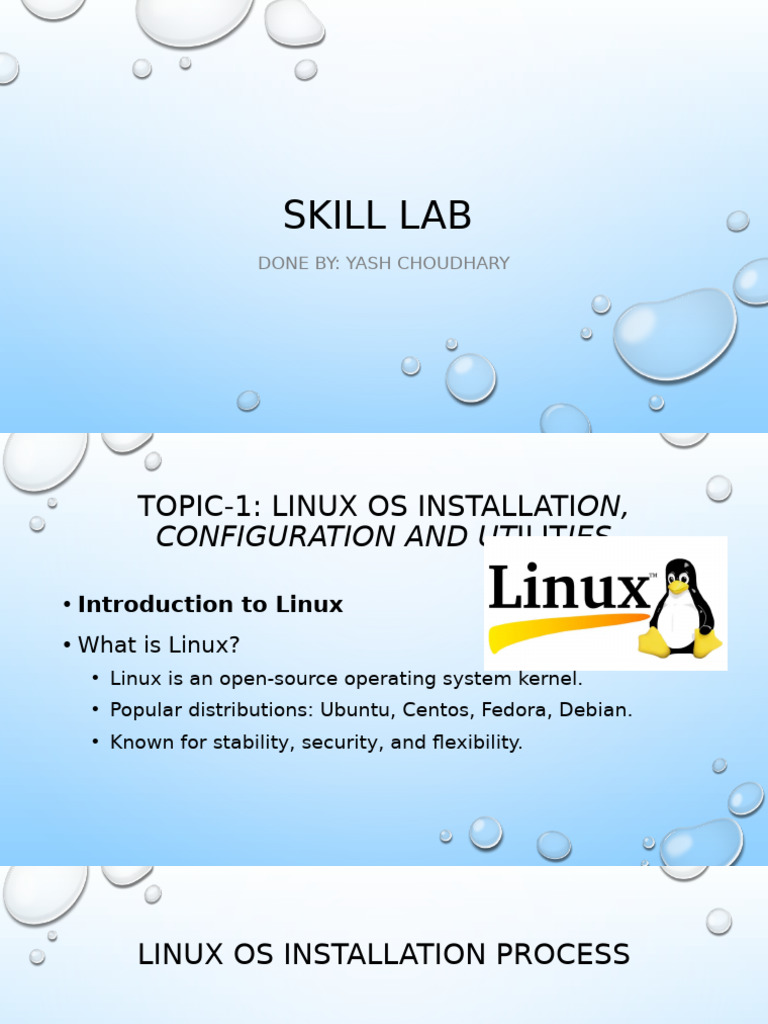 SKill Lab (1) (Read-Only) | PDF | Security | Computer Security