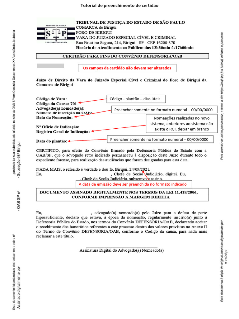 Tutorial de Preenchimento de Certidão - Plantão | PDF