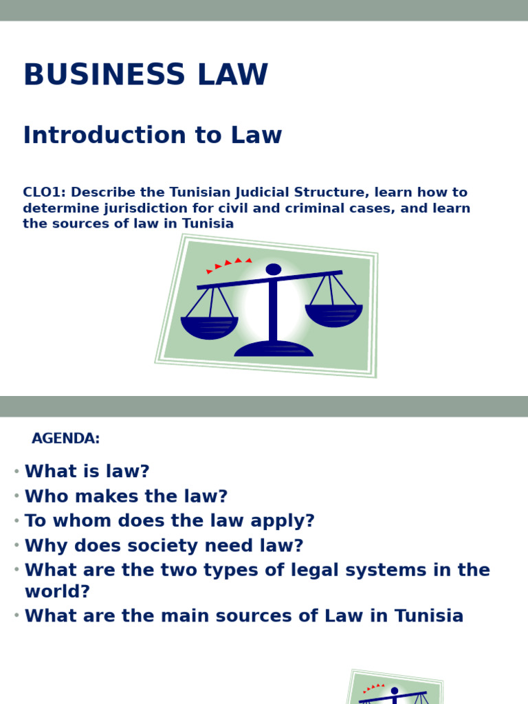 Chap 1 Introduction To Law | PDF | Common Law | Civil Law (Legal System)