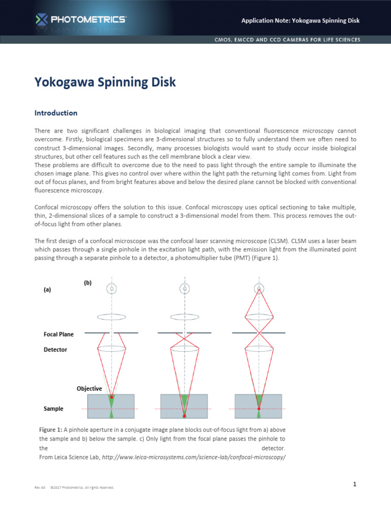 Yokogawa Spinning Disk AppNote | PDF | Confocal Microscopy | Microscopy