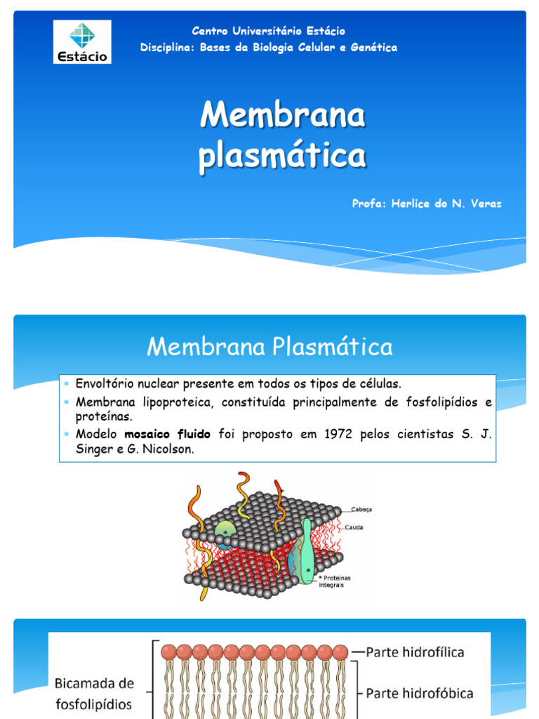 Aula 3 - Membrana Plasm Tica | PDF | Membrana celular | Fosfolipídeo