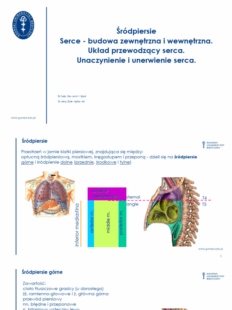 Srodpiersie. Serce - Budowa Zewnetrzna i Wewnetrzna. Uklad Bodzcoprzewodzacy. Unaczynienie i ...