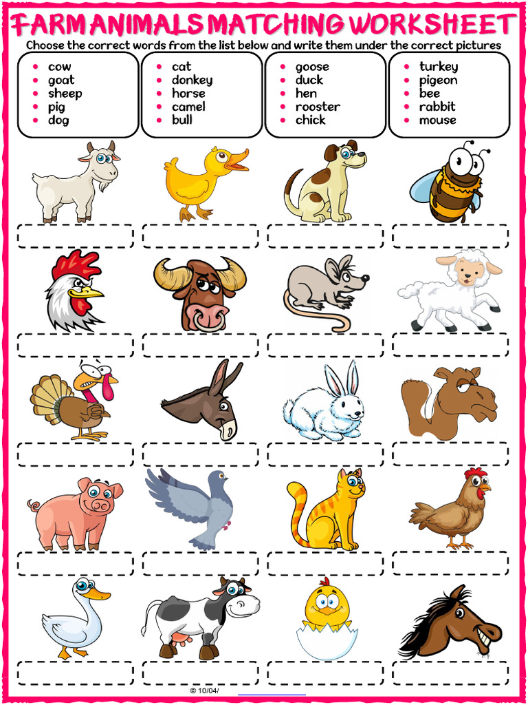 Farm Animals Matching Worksheet | PDF