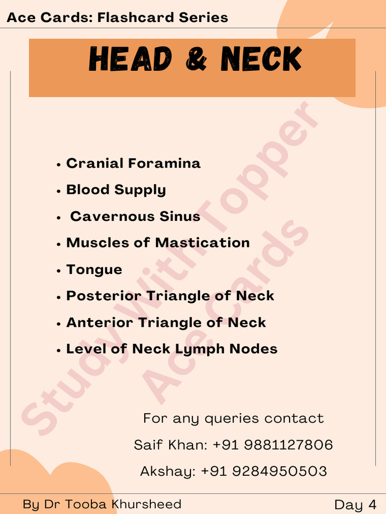 Head & Neck Flashcards Guide | PDF