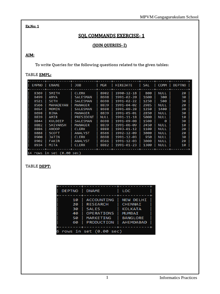 Informatics (1) | PDF | Programming Paradigms | Information Technology Management
