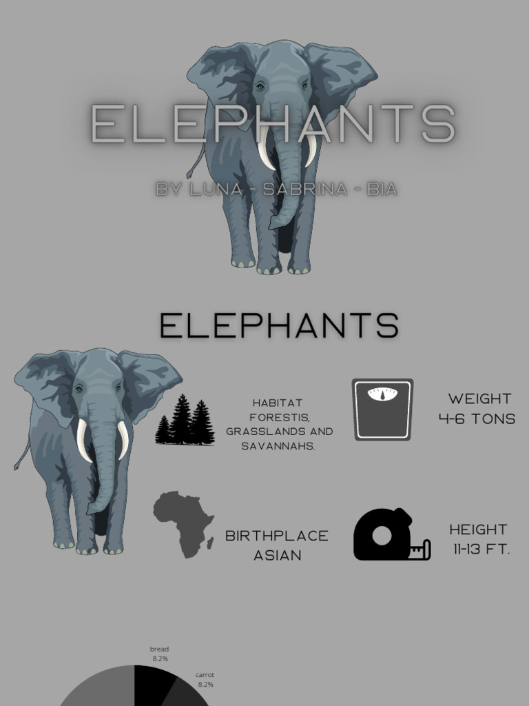 Elephants 3 | PDF