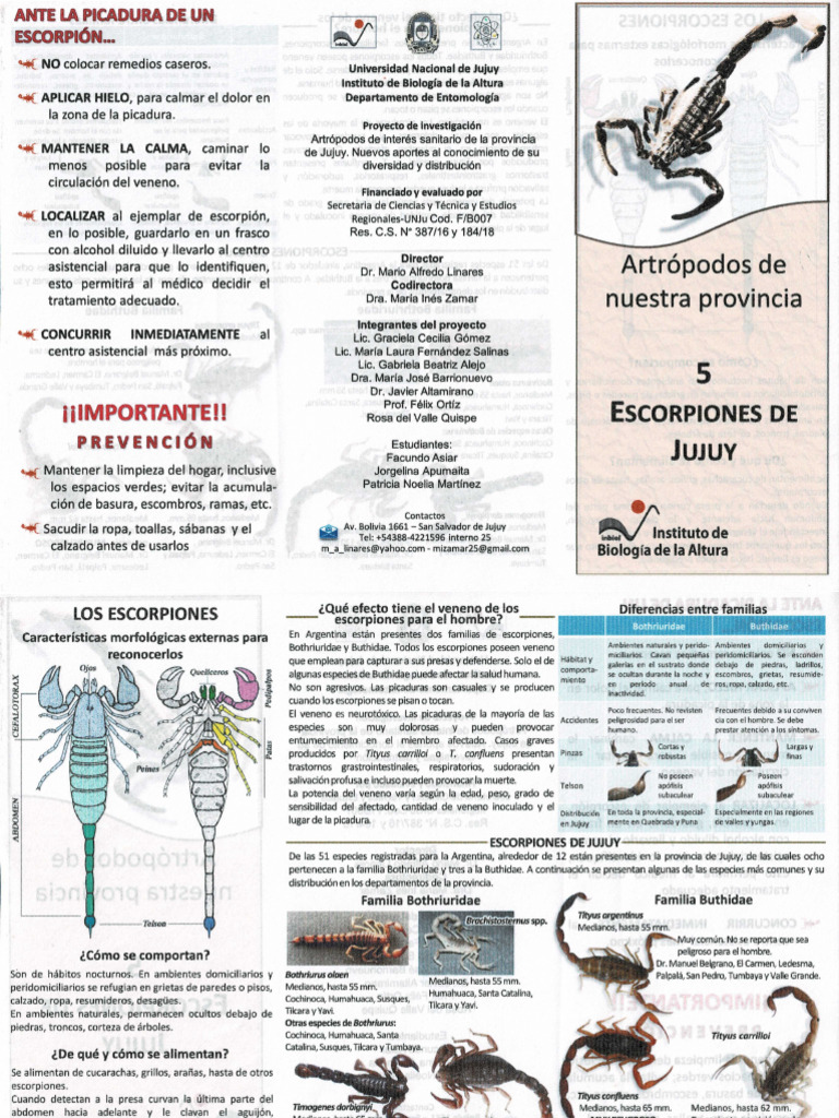 Escorpiones | PDF