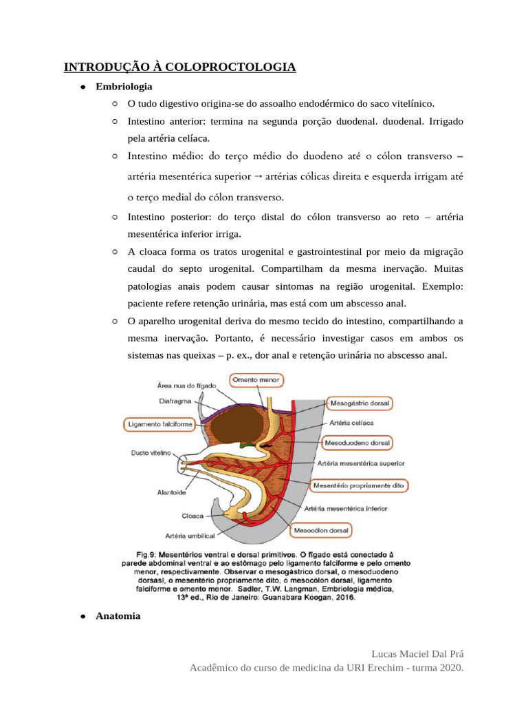 Introdução à Coloproctologia e Anatomia | PDF | Trato gastrointestinal ...