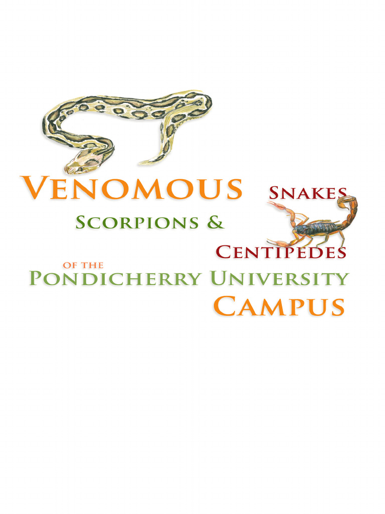 Venomous Snakes Scorpions Centipedes Pu Campus | PDF | Snake | Venom